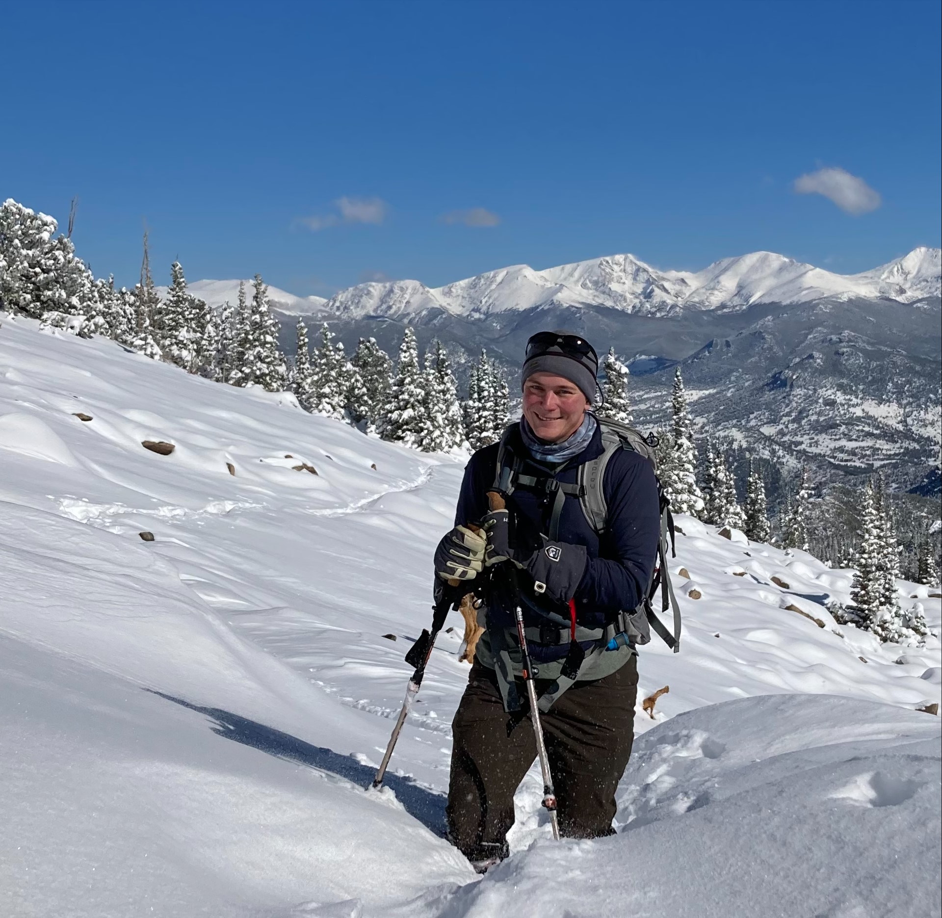 Wildlands Restoration Volunteers | marten